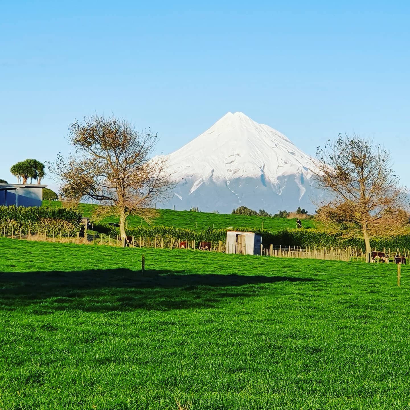 Hiking the Timber Trail, via Bog Inn Hut - GoldCard Gal